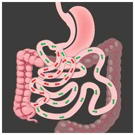 SASI BYPASS | Dr Ahmed El Masry | Contact Us