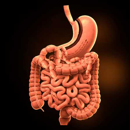 SASI BYPASS | Dr Ahmed El Masry | Contact Us